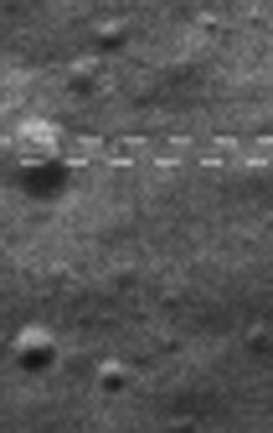 Landing Sights: Apollo 11